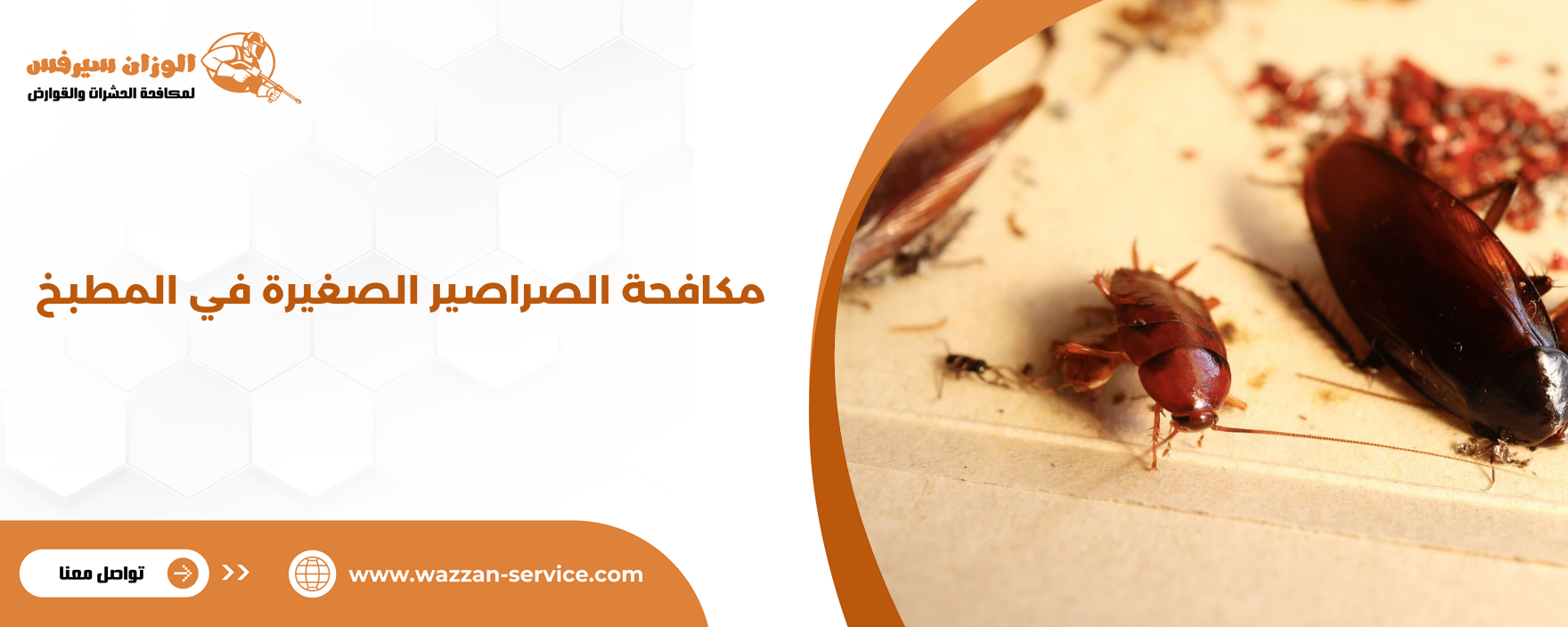 مكافحة الصراصير الصغيرة في المطبخ 98797355 اتصل الان الوزان سيرفس
